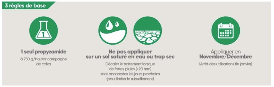 Les règles à suivre pour assurer l'efficacité du propyzamide